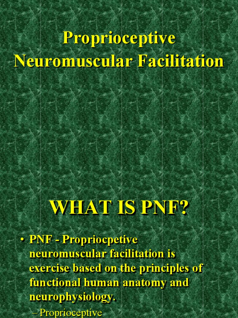 PNF Patterns | PDF | Anatomical Terms Of Motion | Muscle
