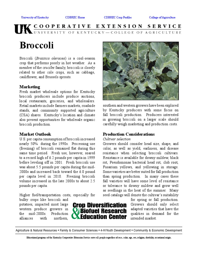 Healthy | PDF | Broccoli | Cabbage