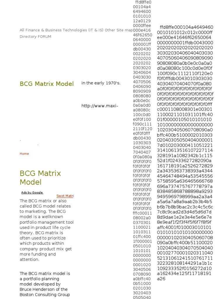 BCG Matrix | PDF | Strategic Management | Business