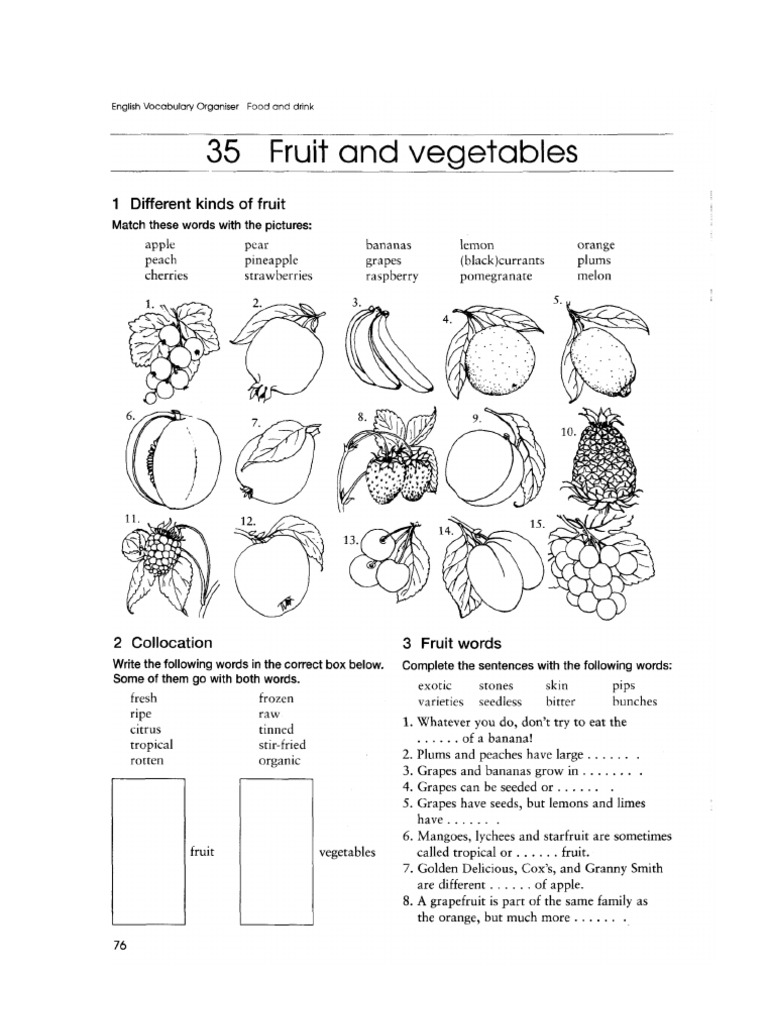 Unit 4 Worksheets | PDF