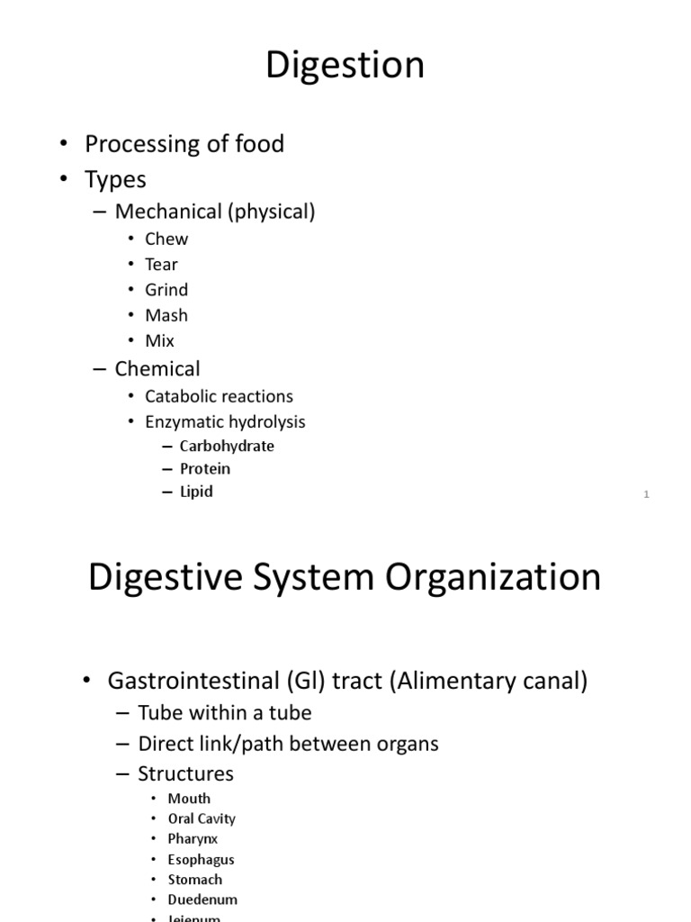 Digestion: - Processing of Food - Types | PDF | Human Digestive System ...