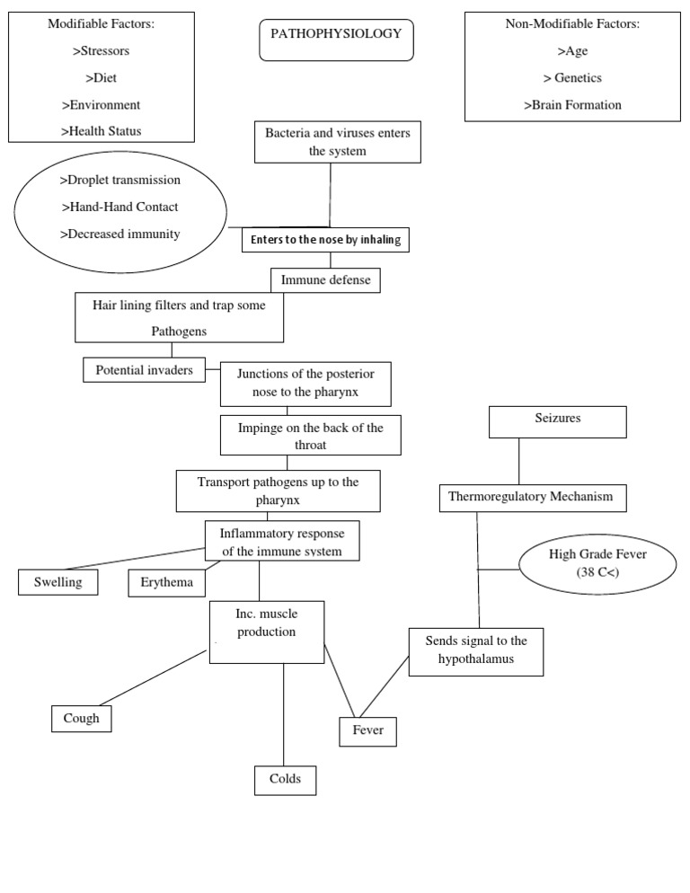 Benign Febrile Convulsion Patho | PDF