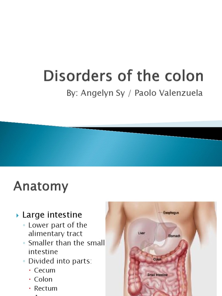 Disorders of The Colon | PDF | Large Intestine | Gastrointestinal Tract