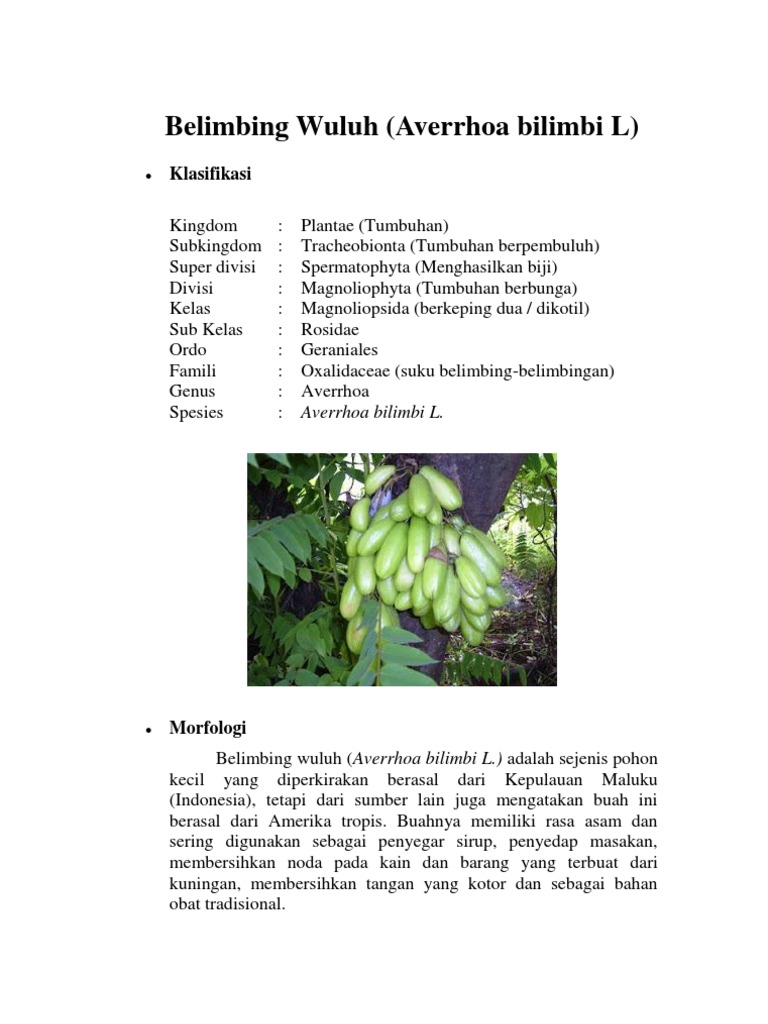 Belimbing Wuluh | PDF