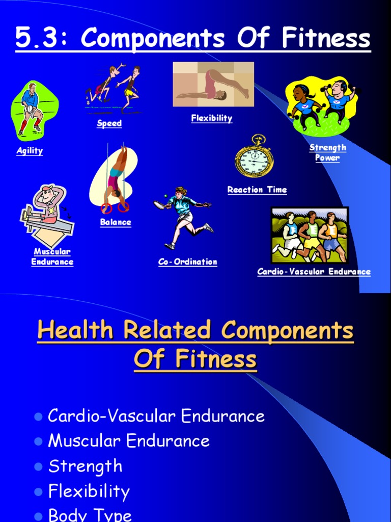 5.3 - Components of Fitness | PDF | Muscle | Physical Strength