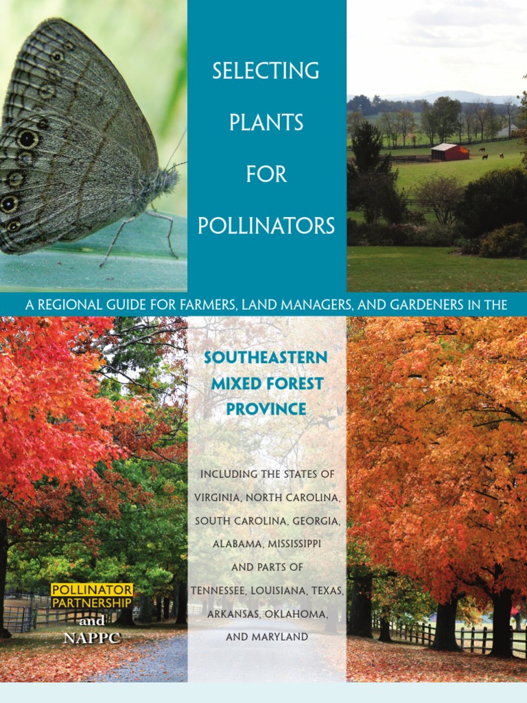 Plants For Pollinators Southeastern Mixed Forest Province A Regional ...