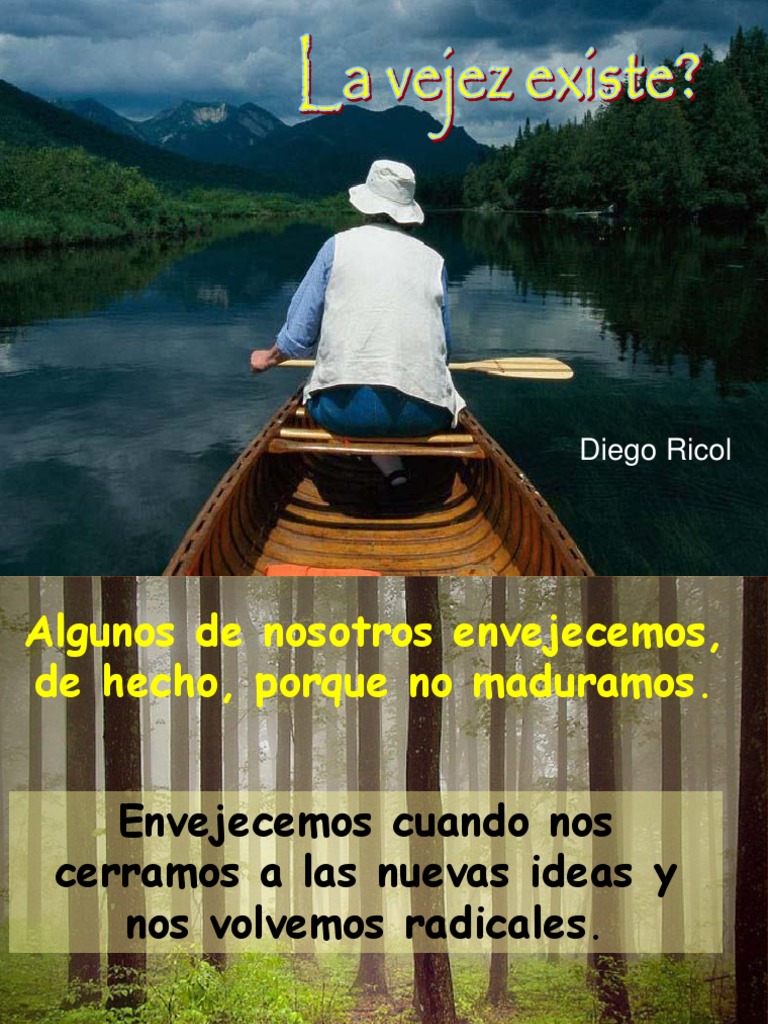 Diego Ricol | PDF