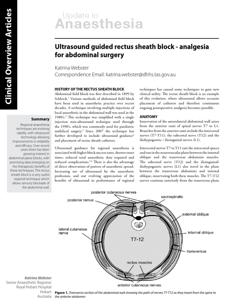 Rectus Sheath Vs TAP Blocks | PDF | Anesthesia | Abdomen