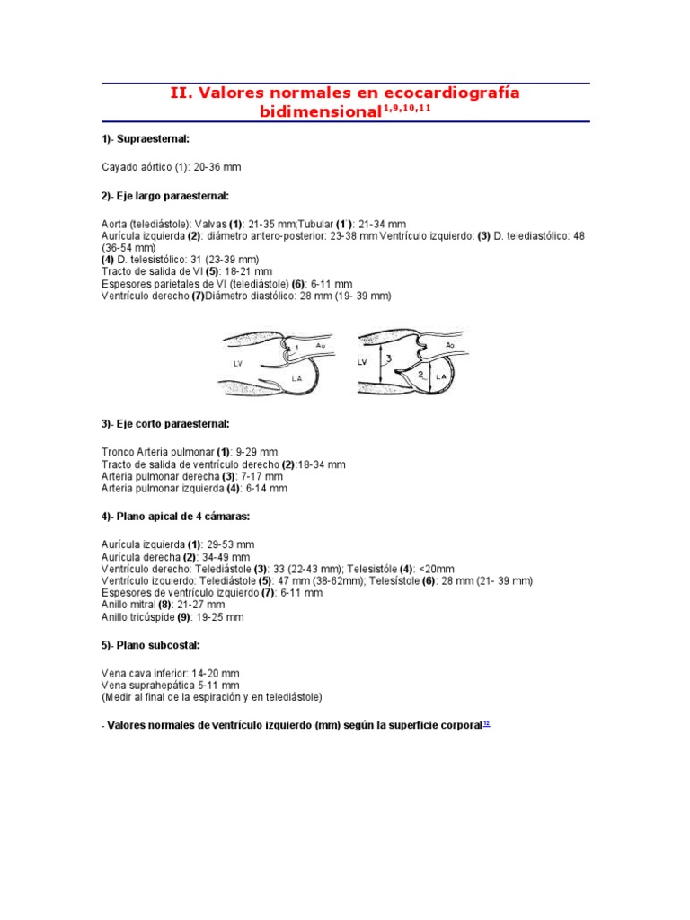 Ecografia Bidimensional | PDF | Ecocardiografía | Diástole