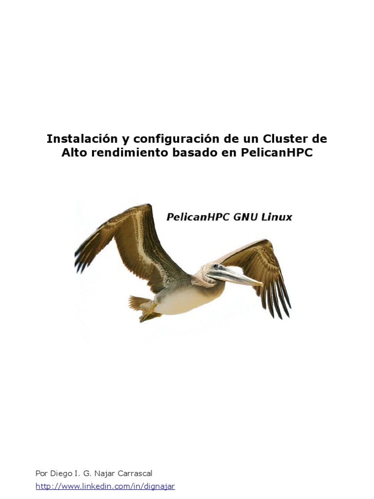 Instalaci N y Configuraci N de Un Cluster Bajo Pelicanhpc | PDF | Grupo de computadoras ...