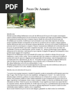 Morfología y Tipos de Aletas en Peces | PDF | Cordados | Pescado