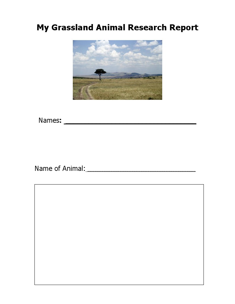 Grassland Animal Research Report | PDF