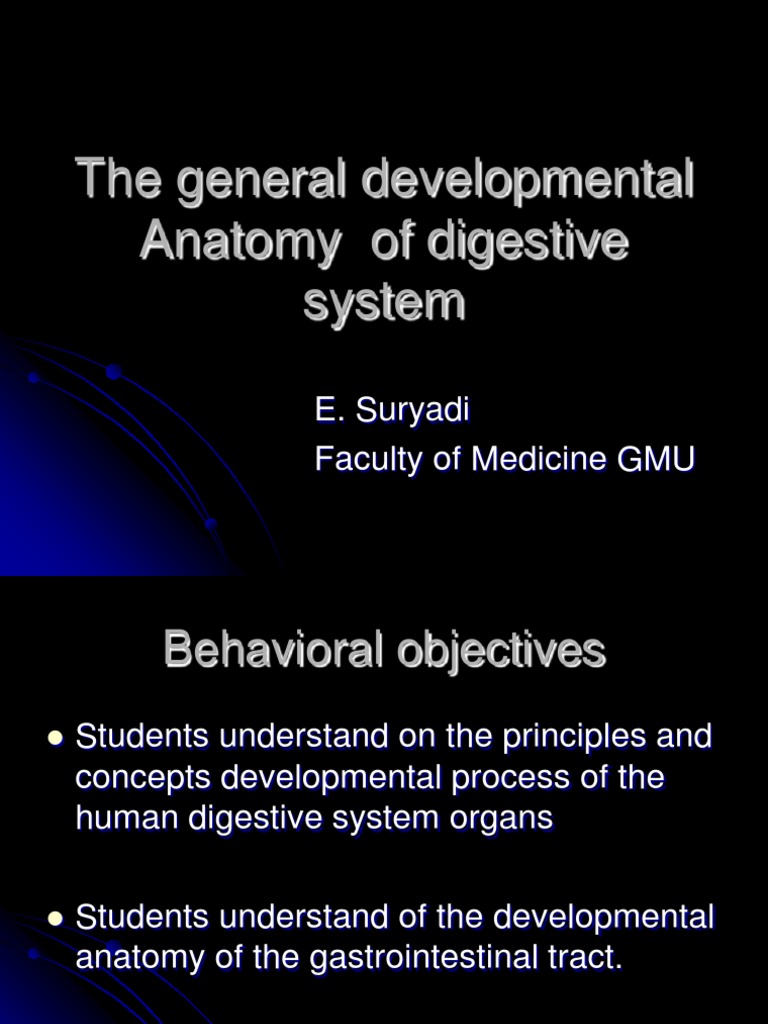 The General Development Anatomy of Digestive System | PDF ...