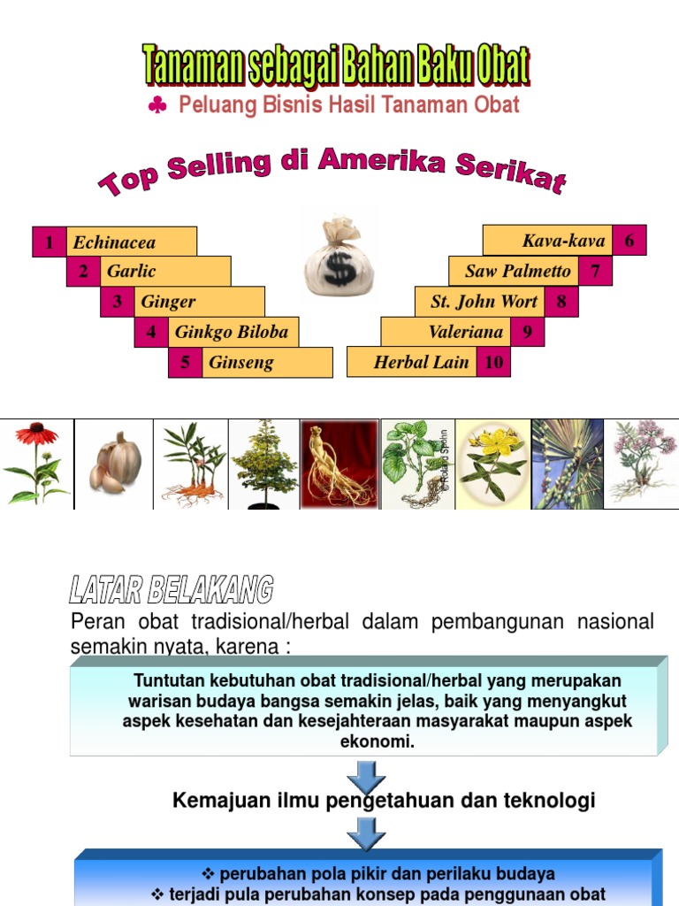 Proses Pengolahan Dan Penggunaan Obat Tradisional Pdf