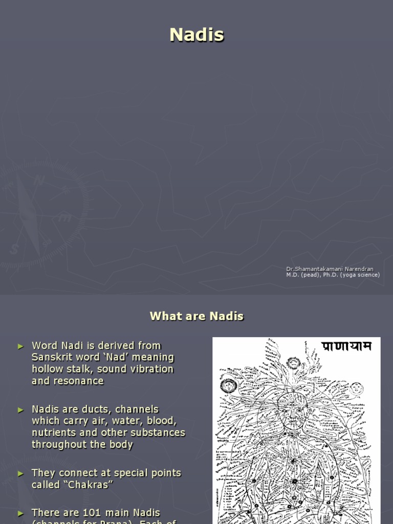 NADIS | PDF | Prana | Wellness