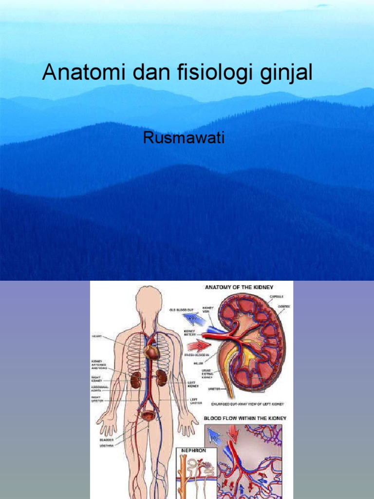 Anatomi dan fisiologi ginjal.ppt