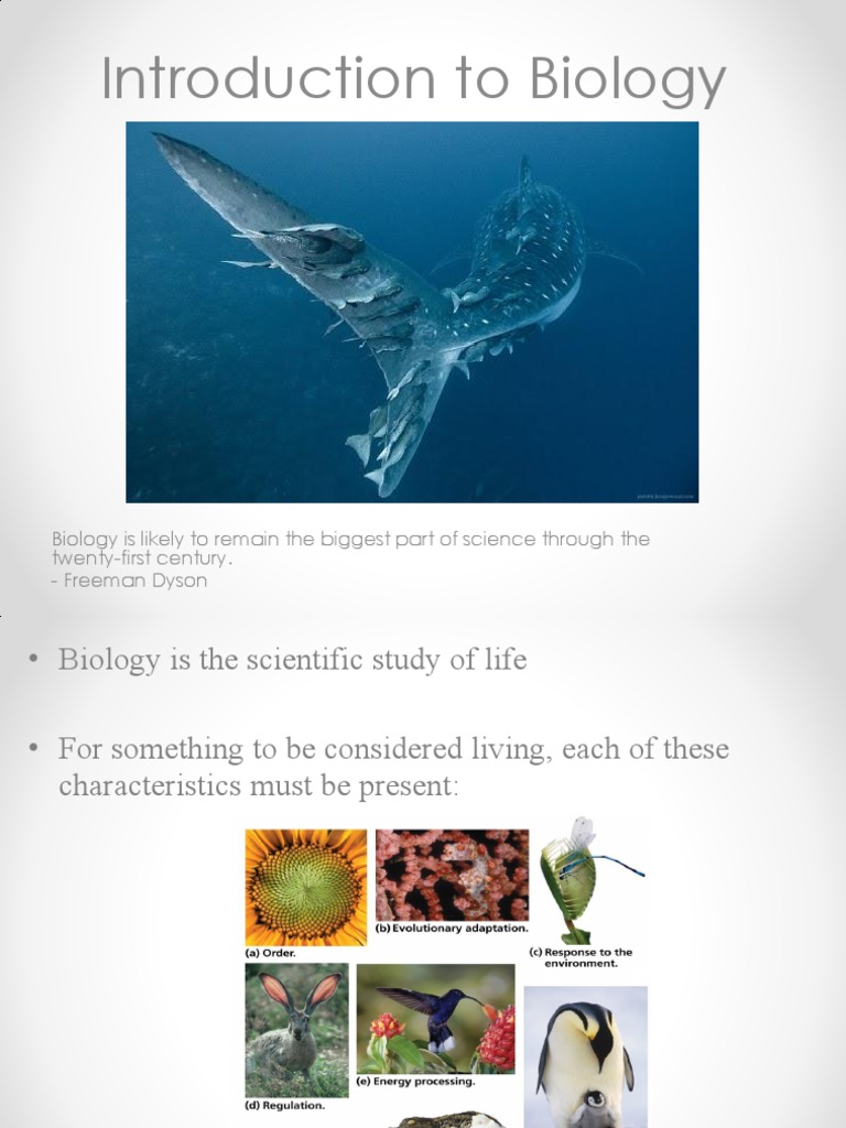 Introduction To Biology Lecture Powerpoint | PDF | Heredity | Experiment