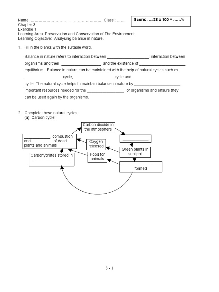 Chapter 3 Preservation and Conservation of The Environment. | PDF ...