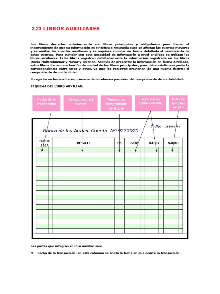 Libros Auxiliares | Contabilidad | Bancos