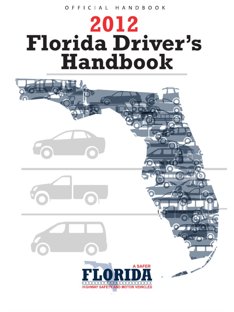 Florida Driver License Regulations Guide | PDF | Identity Document ...