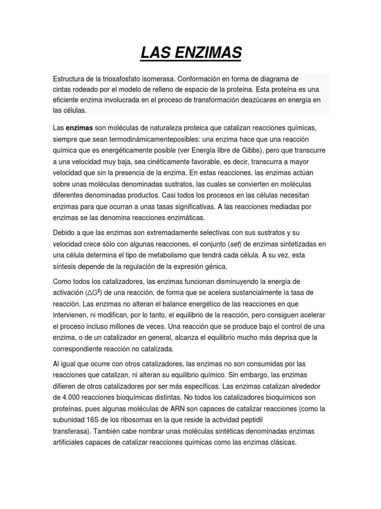 La fascinante historia de las enzimas: de su descubrimiento a la ...