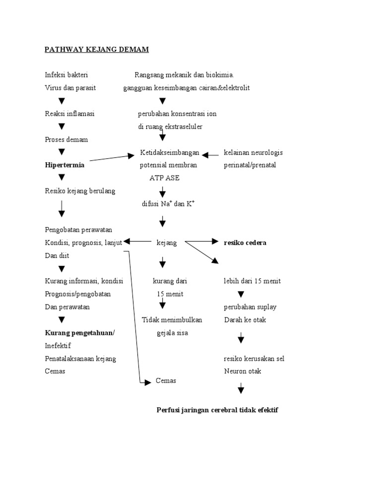 Pathway Anak Kejang Demam | PDF
