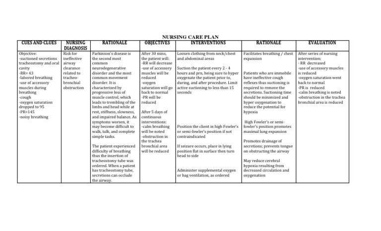 Sample NCP | PDF | Breathing | Respiratory Tract