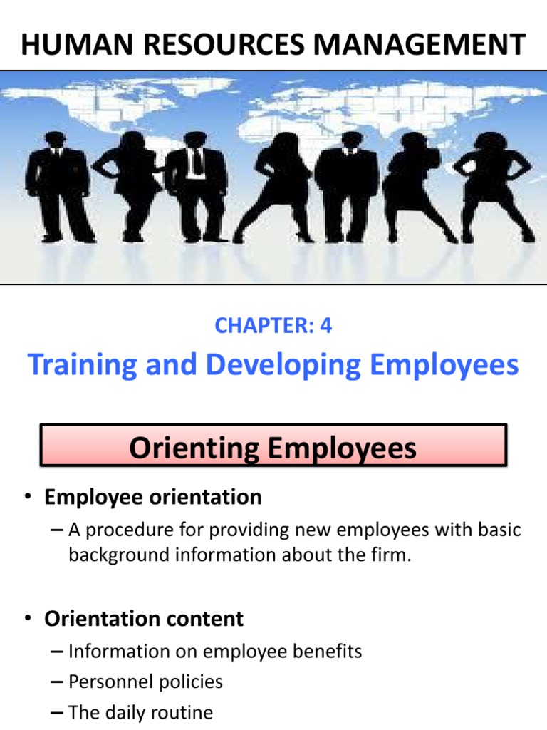 Employee Training and Development Guide | PDF | Organization ...