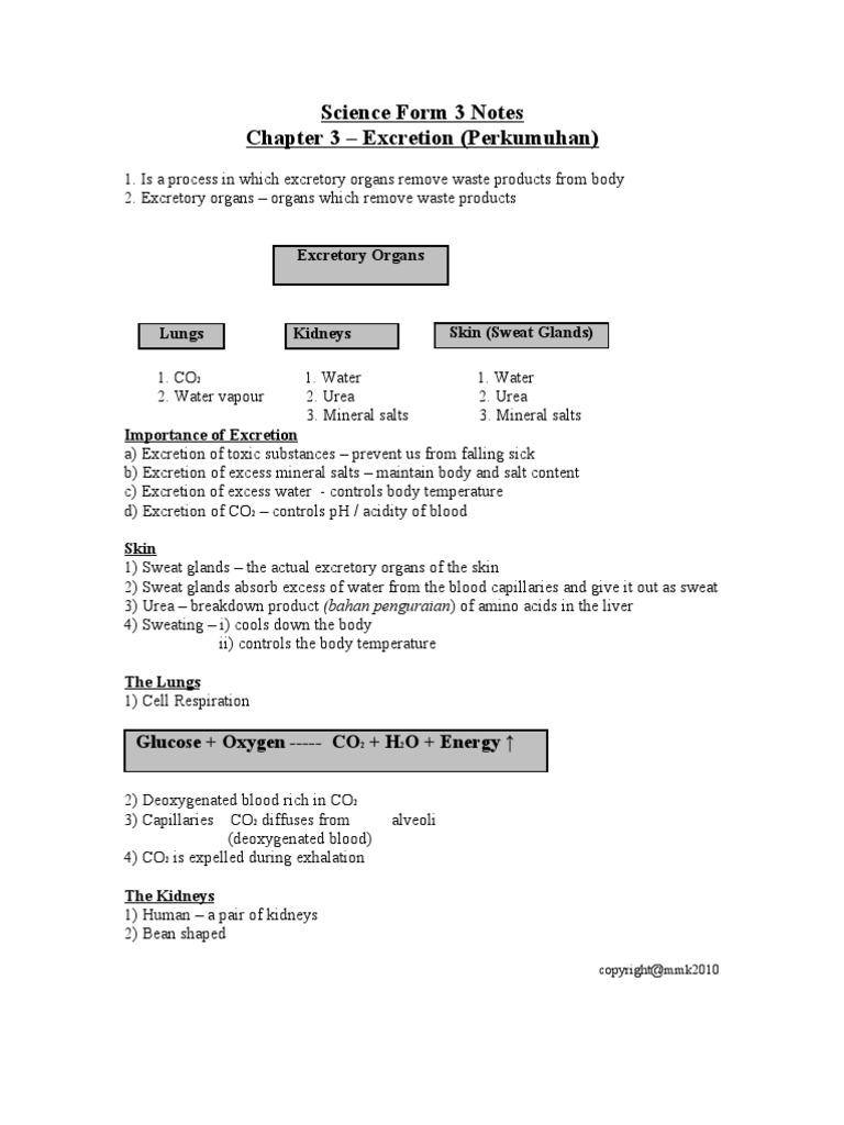 Science Notes Form 3 | PDF | Pollination | Flowers