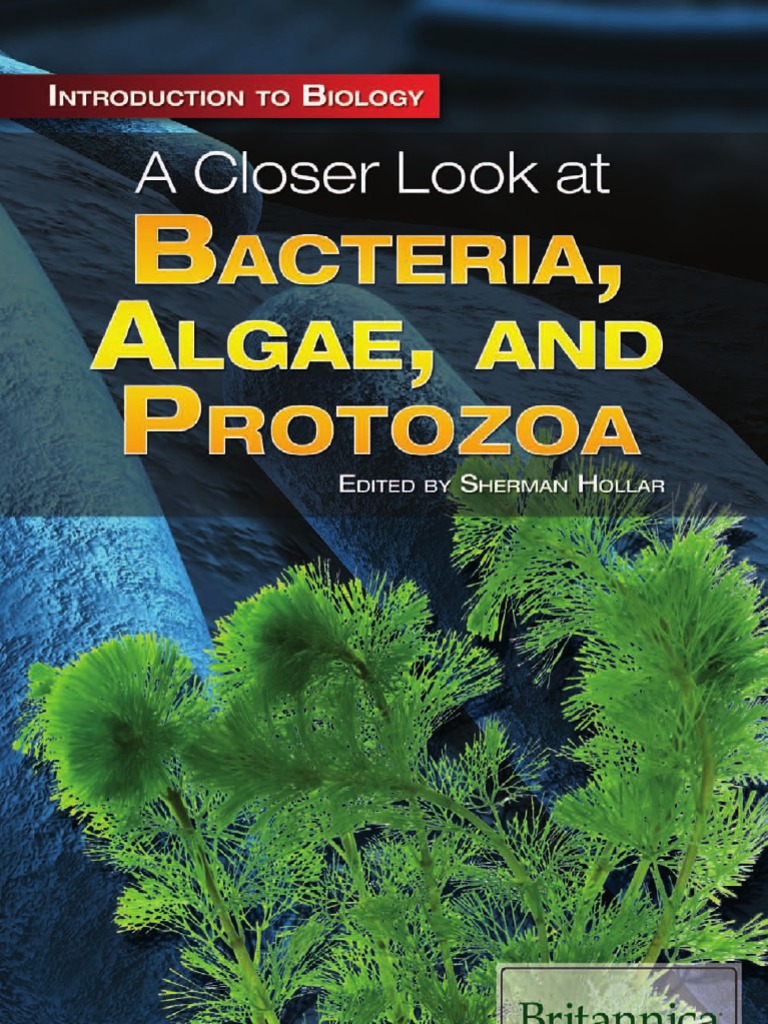 Algae | PDF | Bacteria | Microorganism