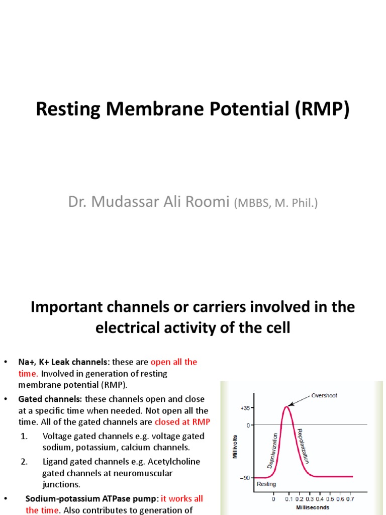 Lecture On Resting Membrane Potential by DR Roomi | PDF | Membrane ...