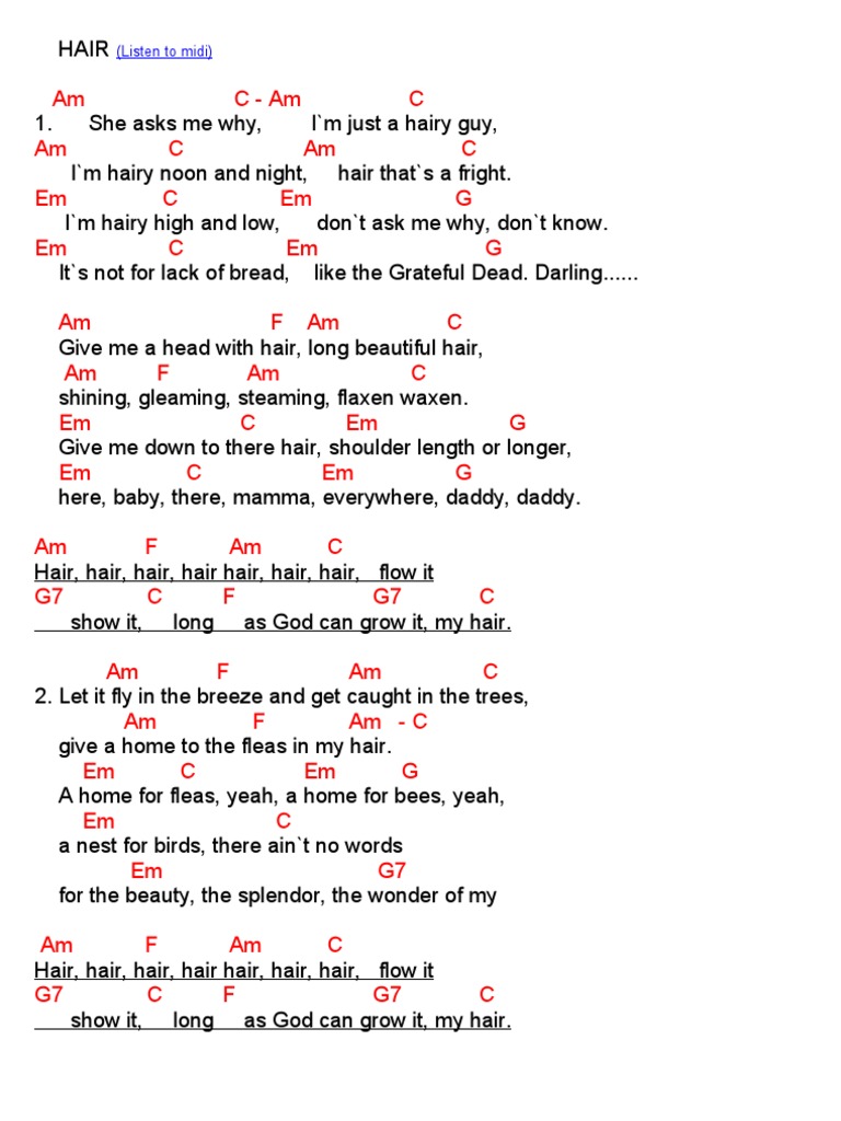 Long Hair Song Lyrics | PDF