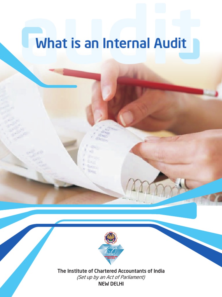 Internal Audit Basics | PDF | Internal Audit | Internal Control