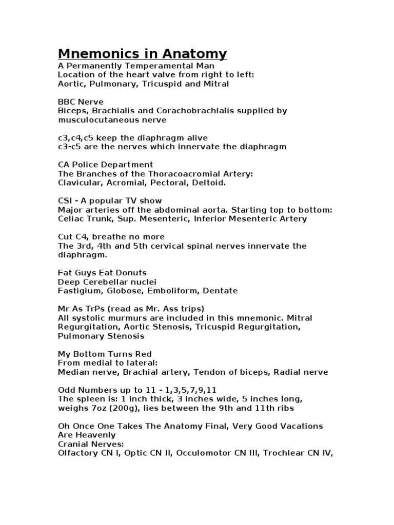 Mnemonics in Anatomy | PDF | Anatomical Terms Of Location | Aorta