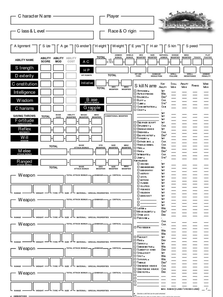 D&D 3.5 Character Sheet Template | PDF | Role Playing Games | Leisure