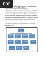 organisational structure | Pepsi Co | Organizational Structure