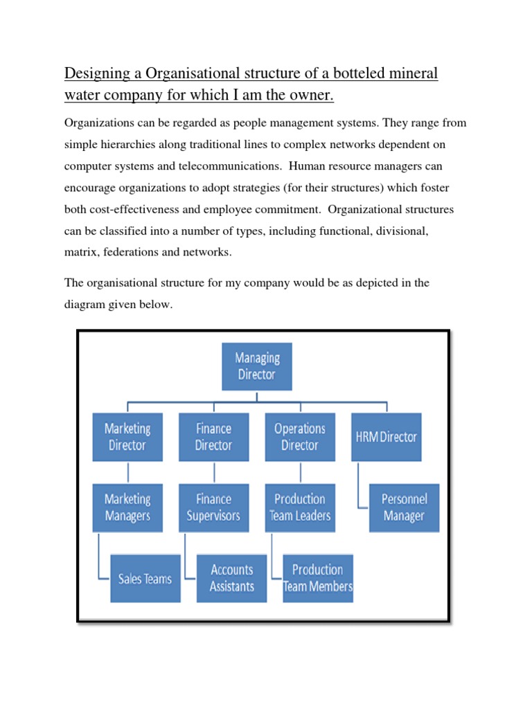 Organisational Structure | PDF