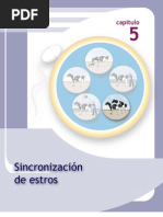Protocolo de Sincronizacion. Ovsynch | PDF | Vacas | Reproducción humana