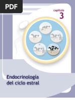 Ciclo Estral de La Vaca | PDF | Hormona luteinizante | La salud de la mujer
