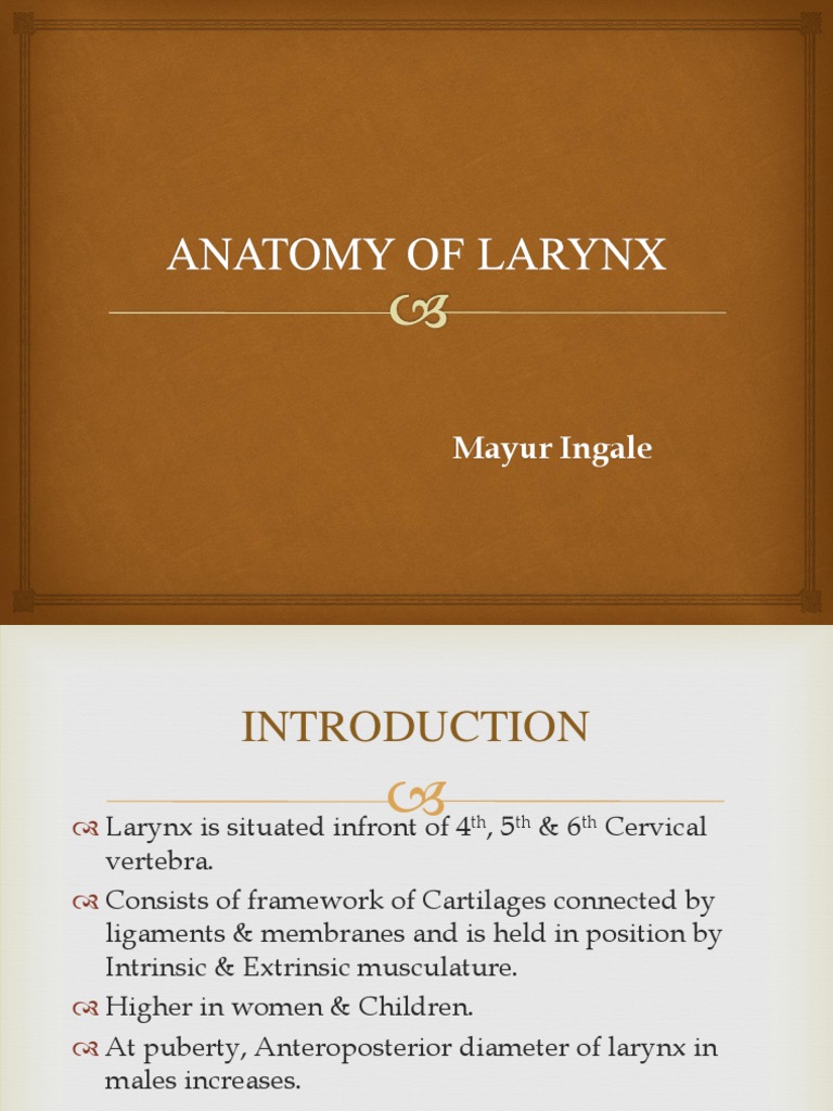 Anatomy of Larynx | PDF | Larynx | Human Head And Neck