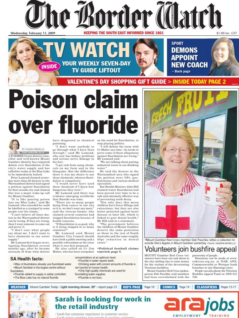 February 11, 2009 | PDF