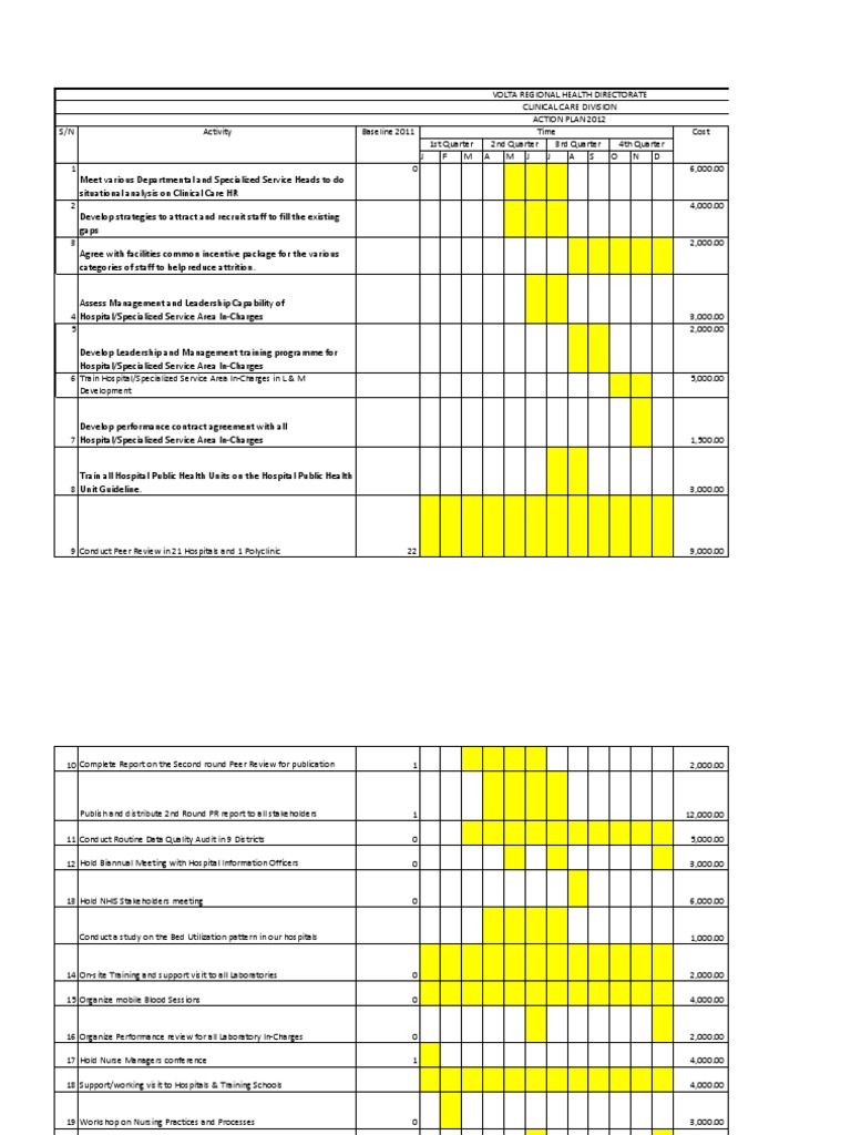 Action Plan Template | PDF | Hospital | Mental Health