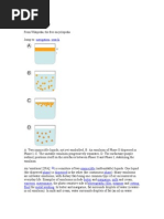 Factors Affecting Emulsion Stability | PDF | Emulsion | Chemical Substances
