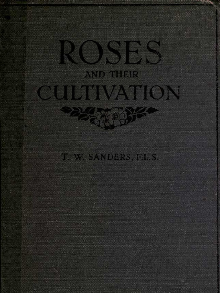 Roses and Their Cultivation | PDF | Rose | Botany