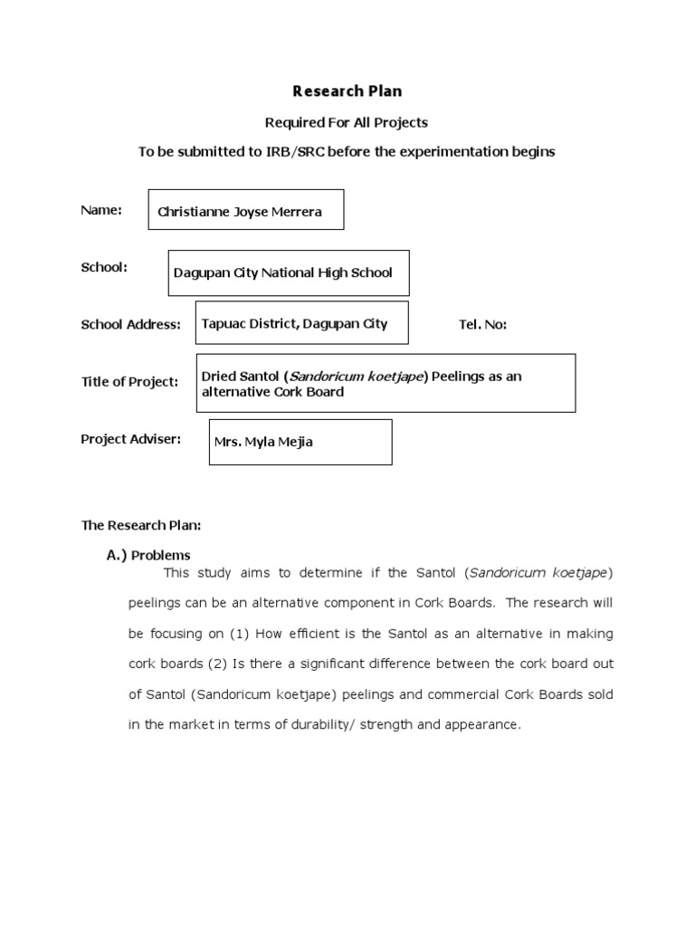 Example Of A Research Plan PDF