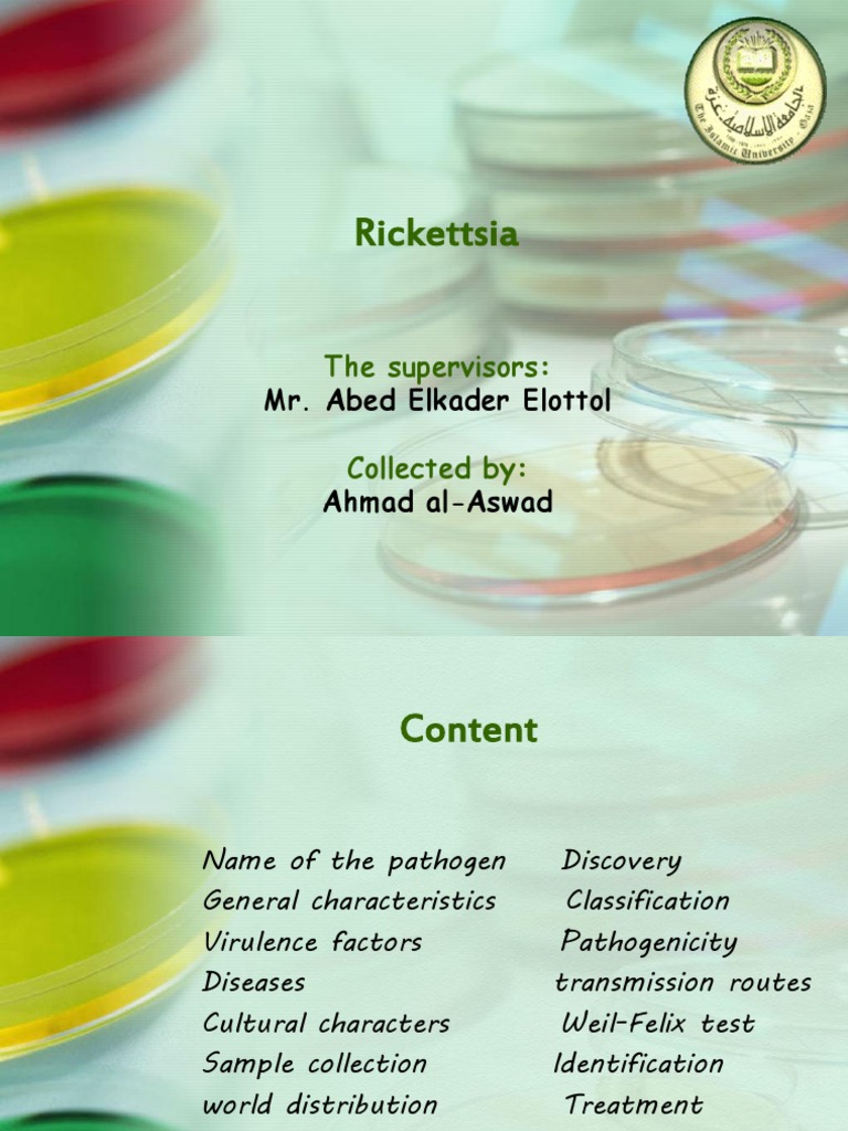 Rickettsia Presentation | PDF | Microbiology | Medical Specialties