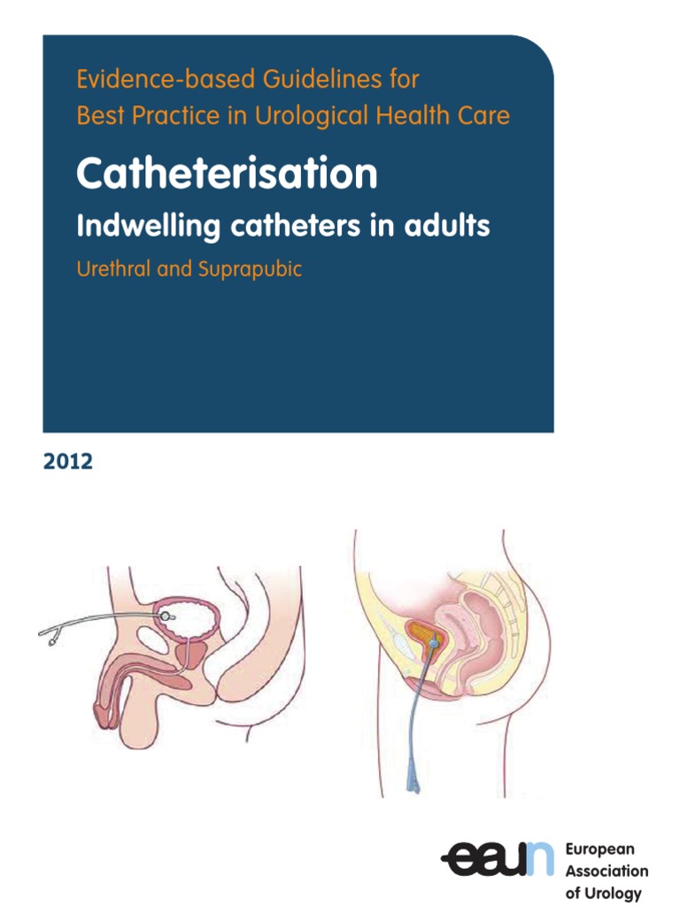 Evidence-Based Guidelines For Best Practice in Urological Health Care: Catherisation Indwelling ...