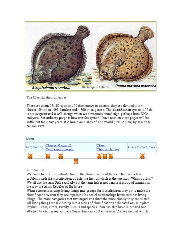 The Classification of Fishes | PDF | Vertebrates | Aquatic Vertebrates