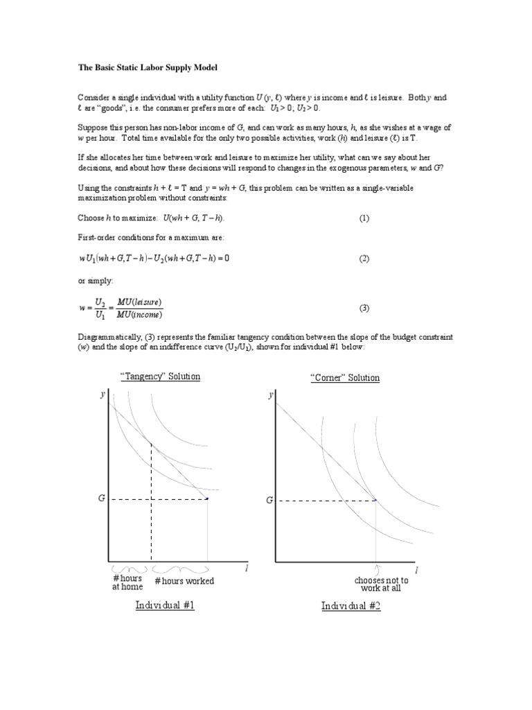 The Basic Static Labor Supply Model | PDF