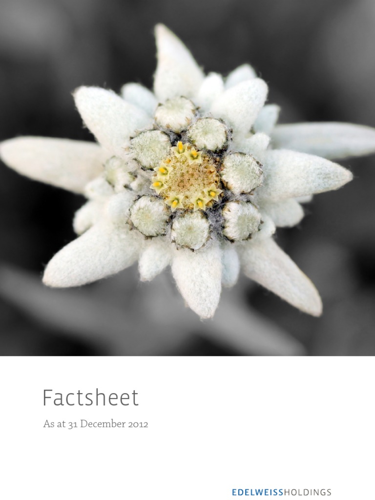 Edelweiss | PDF | Guarantee | Capital (Economics)